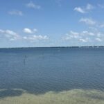 Panama City Beach Florida, Dolphin, Shell Island and Eco Tours - FAQ