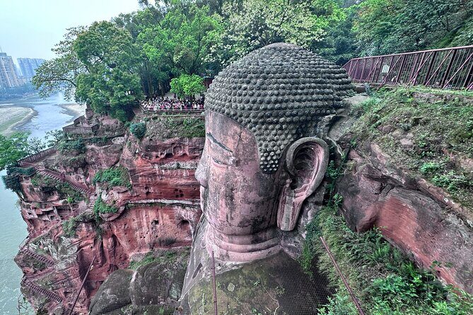 Panda, Leshan, and Emei Mountain 2-day tour - A Closer Look at the 2-Day Tour