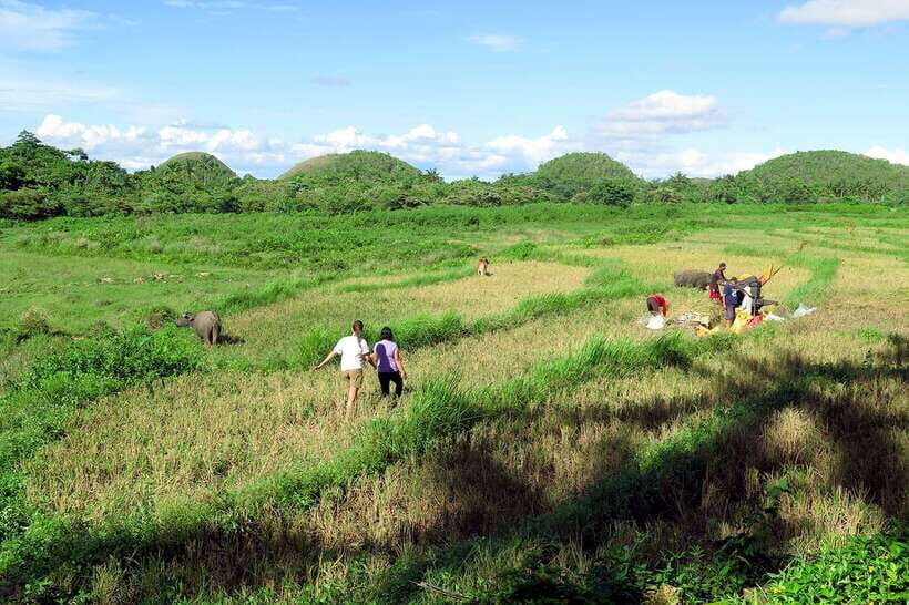 Panglao: Dao, Forests, and Tarsier Sanctuary Tour with Lunch - Who Will Love This Tour?