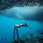 Panglao: Napaling Reef and Sardines Freediving Experience - What to Expect from the Tour