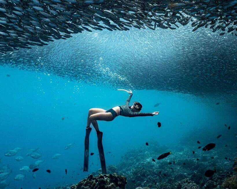 Panglao: Napaling Reef and Sardines Freediving Experience - What to Expect from the Tour