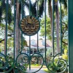 Papeete City Tour, 3hours (on Tahiti) - Who Will Love This Tour?
