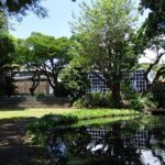 Papeete Cultural Tour and Tahitian Tuna Workshop - What Makes This Tour Stand Out?