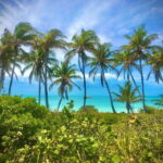 PARADISE ISLAND- ISLA CONTOY AND ISLA MUJERES - The Itinerary: A Step-by-Step Adventure
