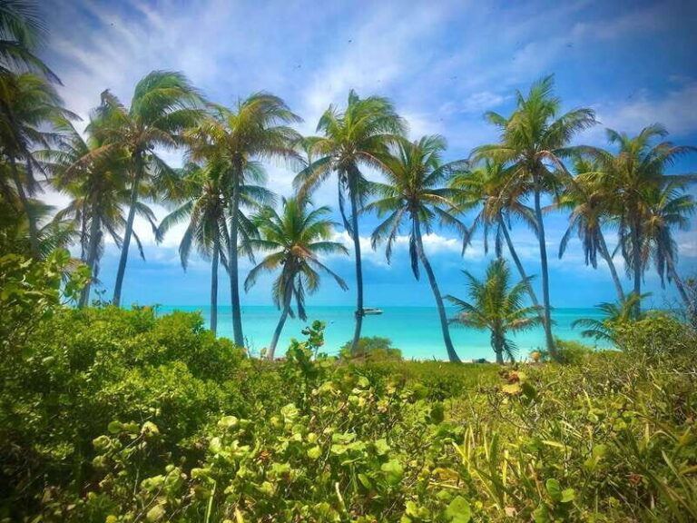 PARADISE ISLAND- ISLA CONTOY AND ISLA MUJERES - The Itinerary: A Step-by-Step Adventure