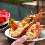 Paragliding Rosarito & Puerto Nuevo Lobster - The Paragliding Experience