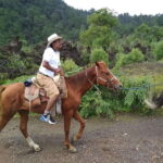 Paricutin Volcano Crater Special Tour - The Itinerary Breakdown: What to Expect
