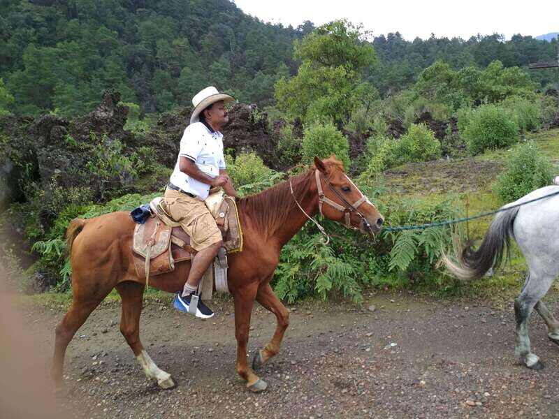 Paricutin Volcano Crater Special Tour - The Itinerary Breakdown: What to Expect