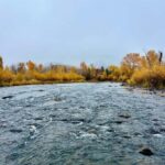 Park City: Guided Fly Fishing on Provo & Weber Rivers - The Experience Provider: Wild Utah Fly Fishing