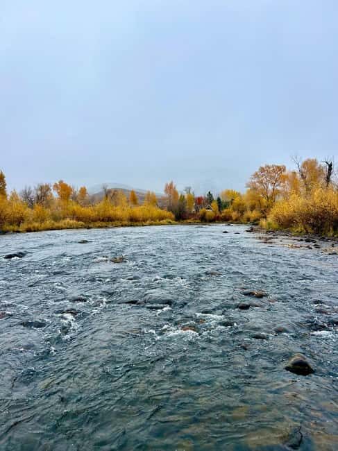 Park City: Guided Fly Fishing on Provo & Weber Rivers - The Experience Provider: Wild Utah Fly Fishing