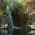 Park Xcaret Plus with Transportation from Cancun and Riviera Maya - Analyzing the Value and Practicalities