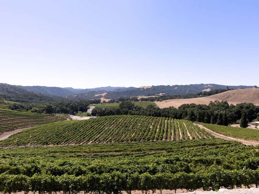Paso Robles: 3-Winery Tour with Tastings and Lunch - Authentic Insights from Reviews