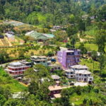 Pathways of Ella: Peaks and Arches Exploration - Who Should Consider This Tour?