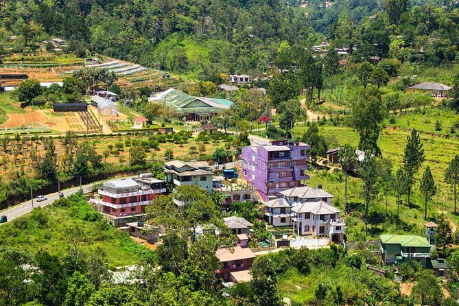 Pathways of Ella: Peaks and Arches Exploration - Who Should Consider This Tour?