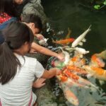 Pattaya Underwater World - Discover Ocean Treasures - Who Will Love Pattaya Underwater World?