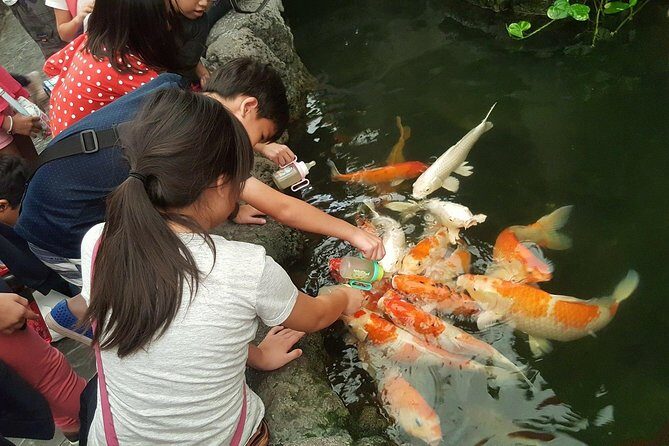 Pattaya Underwater World - Discover Ocean Treasures - Who Will Love Pattaya Underwater World?