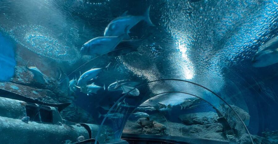 Pattaya: Underwater World Pattaya Aquarium Admission Ticket - Navigating the Practicalities
