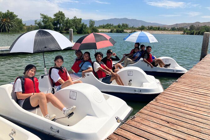 Pedal Boat Ride in Chino - Who Will Love This Experience?