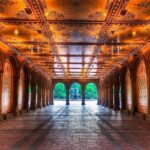 Pedicab 1 Hour Central Park Tour - Final Word