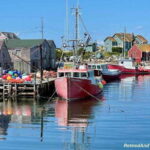 Peggys Cove Private Car Tour  3.5 Hours - Real Insights from Travelers