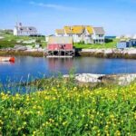 Peggys Cove Tour Experience - Dive Into the Itinerary: What to Expect