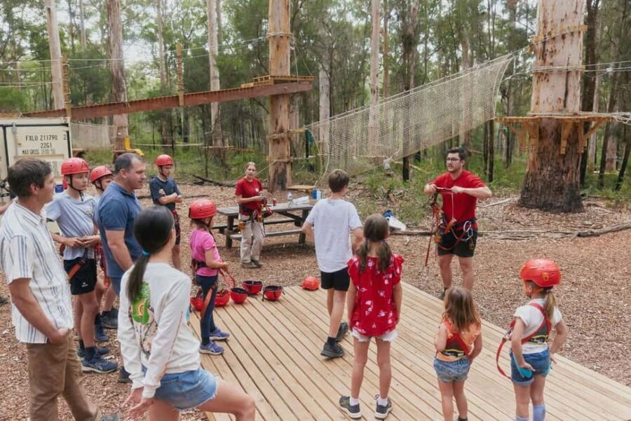 Pemberton: 1 Hour Explorer Pass with Ziplines and High Ropes - The Experience in Detail