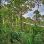Penang: The Habitat Penang Hill Entry Ticket - Weighing the Value: Is It Worth It?