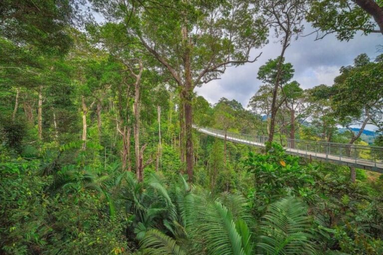 Penang: The Habitat Penang Hill Entry Ticket - Weighing the Value: Is It Worth It?