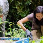 Penang: Tropical Spice Garden Entrance Ticket & Guided Tours - Who Should Visit the Tropical Spice Garden?