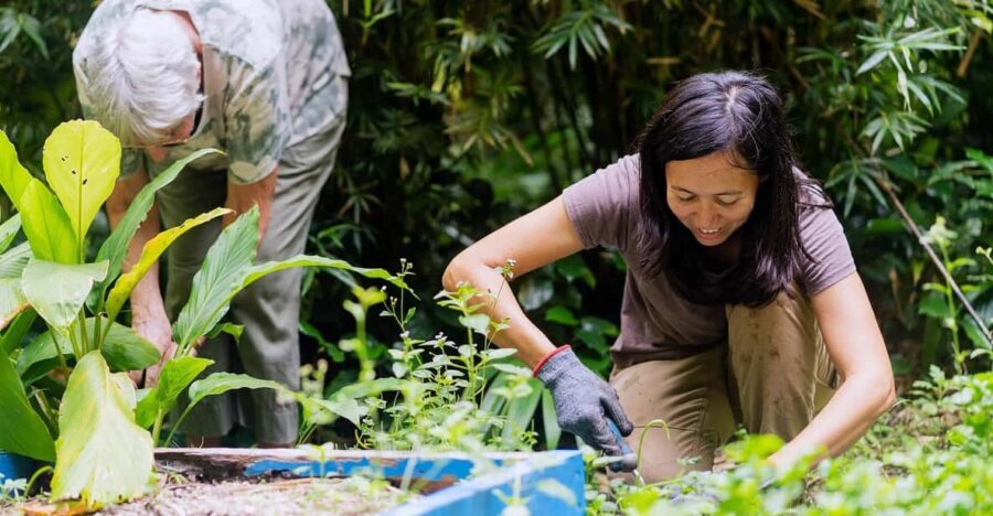 Penang: Tropical Spice Garden Entrance Ticket & Guided Tours - Who Should Visit the Tropical Spice Garden?