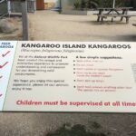 Penguin and Australian Animals Private Tour - The Experience of Transportation and Guidance
