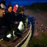 Penguin Parade: General Viewing Ticket - Who Should Consider This Tour?