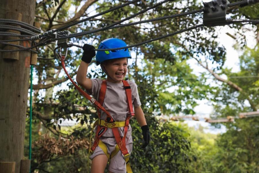 Pennant Hills: Junior Tree Ropes Course - The Itinerary: What to Expect