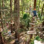 Pennant Hills: Tree Ropes Course Session - Authentic Insights from Visitors