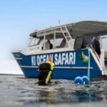 Penneshaw: Kangaroo Island Ultimate Adventure Tour - An In-Depth Look at the Tour