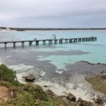 Penneshaw: Shore Excursion Kangaroo Island Scenic Tour - Detailed Breakdown of the Itinerary