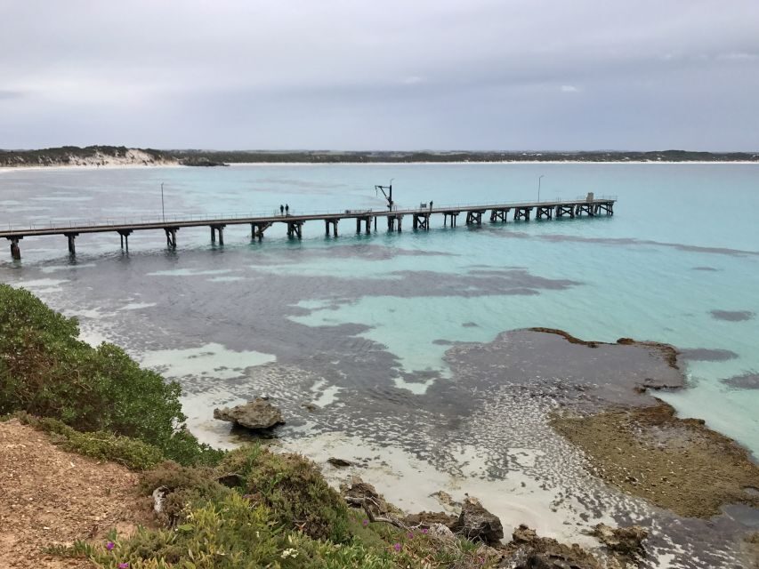 Penneshaw: Shore Excursion Kangaroo Island Scenic Tour - Detailed Breakdown of the Itinerary