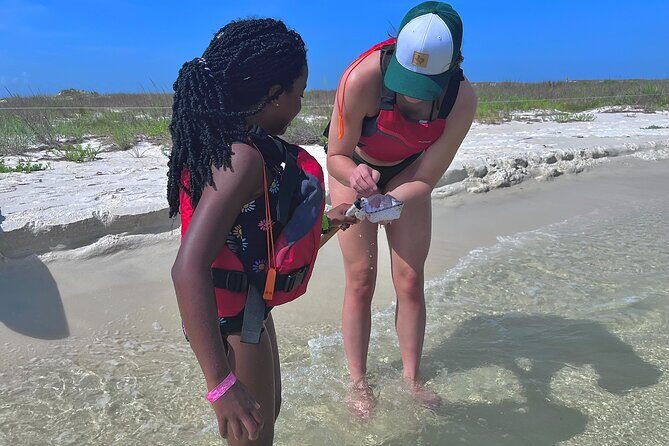 Pensacola Beach Kayak Tour - Why This Tour Offers Real Value