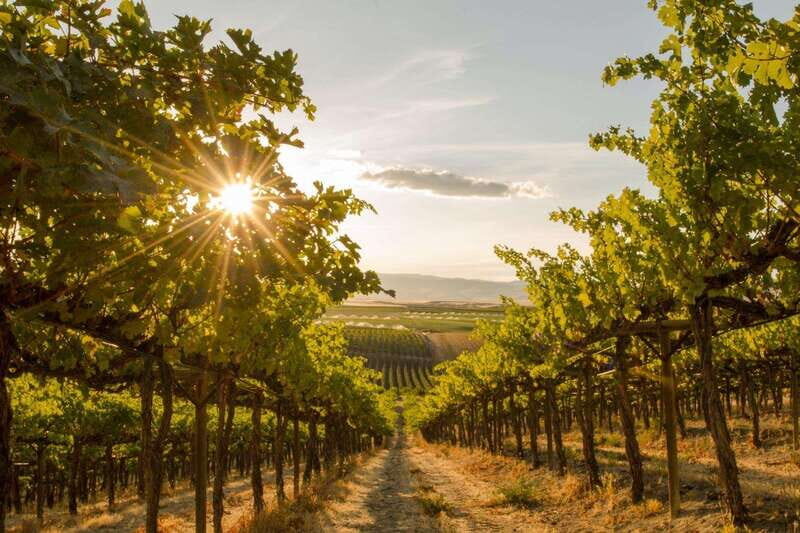 Penticton: Naramata Bench Full Day Guided Wine Tour - Itinerary Breakdown: What to Expect