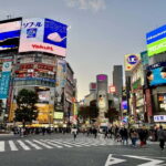 Perfect Start for your Japan Trip - Private Tour in Tokyo - The Logistics and Value
