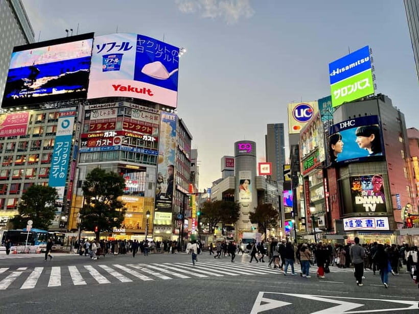 Perfect Start for your Japan Trip - Private Tour in Tokyo - The Logistics and Value
