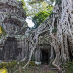 Personalized Angkor Wat Sunrise Day Tour by Tuk Tuk - Stop 2: Passing the South Gate of Angkor Thom