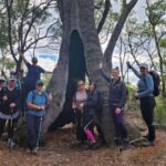Perth: Bibbulmun Track Hiking Experience with Lunch - What to Expect: Practical Details and Experience Quality