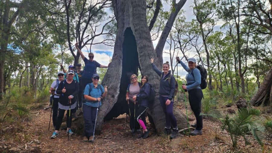 Perth: Bibbulmun Track Hiking Experience with Lunch - What to Expect: Practical Details and Experience Quality