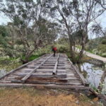 Perth: Bickley Valley Hiking Experience with Morning Tea - Historic Sites and Unique Landmarks