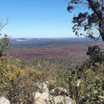 Perth: Darling Range Twin Peaks Hike with Morning Tea - Valuing the Price Point
