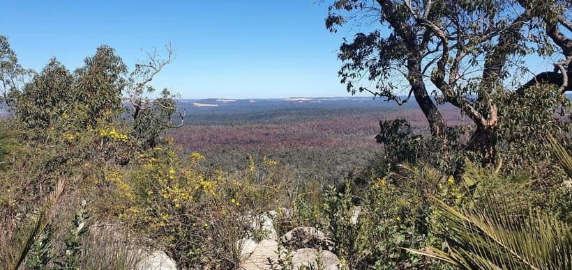 Perth: Darling Range Twin Peaks Hike with Morning Tea - Valuing the Price Point