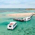 Perth: Dolphin, Sealion & Wildlife Cruise with Lunch - Practical Details & Tips