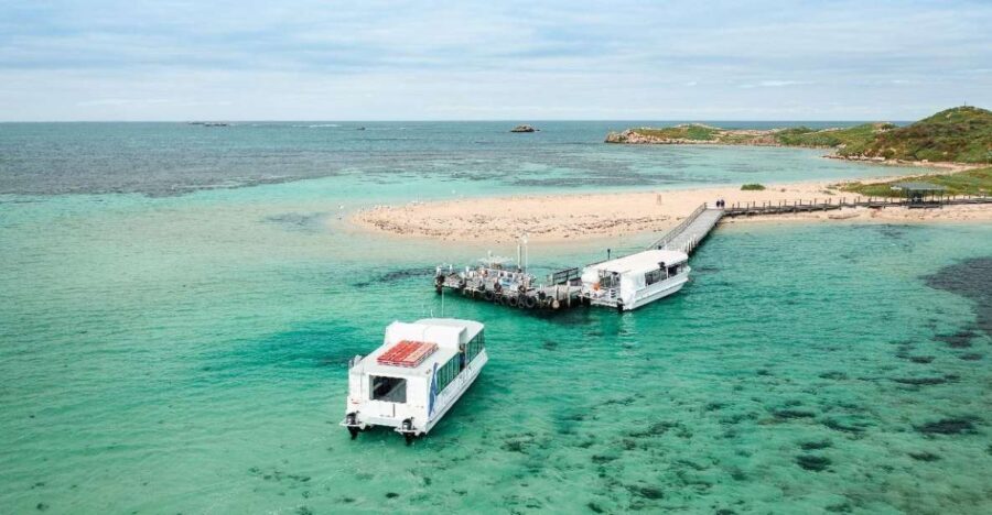 Perth: Dolphin, Sealion & Wildlife Cruise with Lunch - Practical Details & Tips