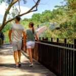 Perth: Kings Park Botanicals & Beyond Guided Hike - Who Will Love This Tour?